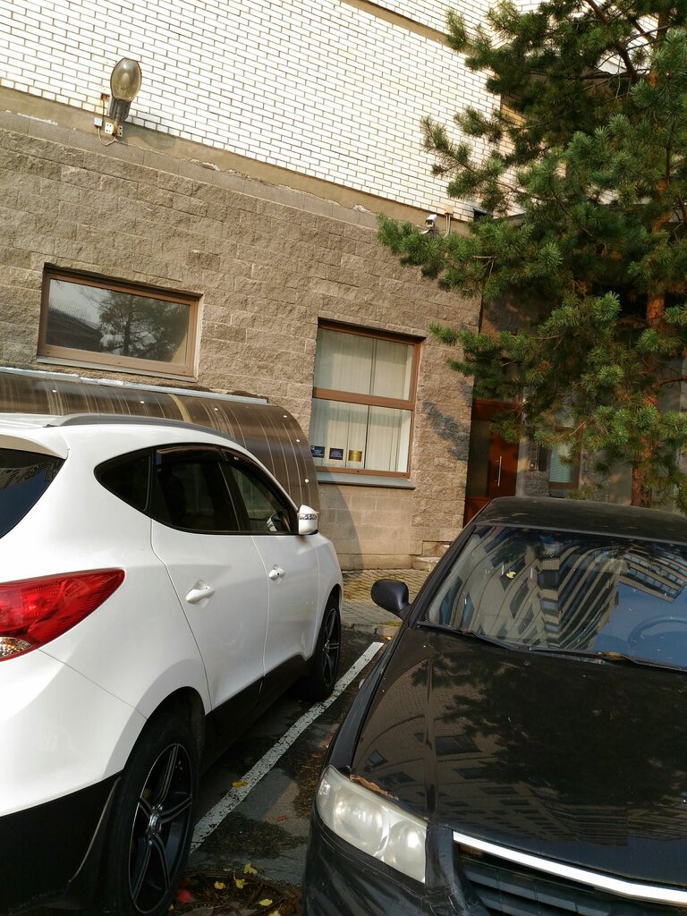 Bina, site yönetimi TSZh Savushkina 36, Saint‑Petersburg, foto