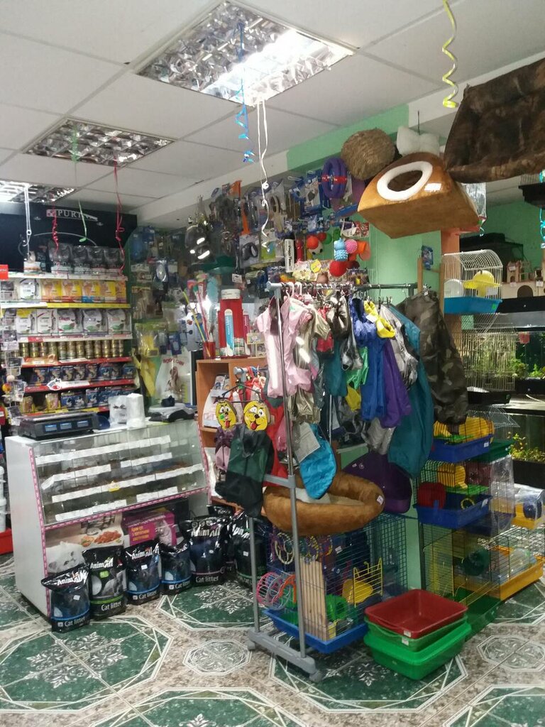 Petshop Pet store, Krivoi Rog, foto