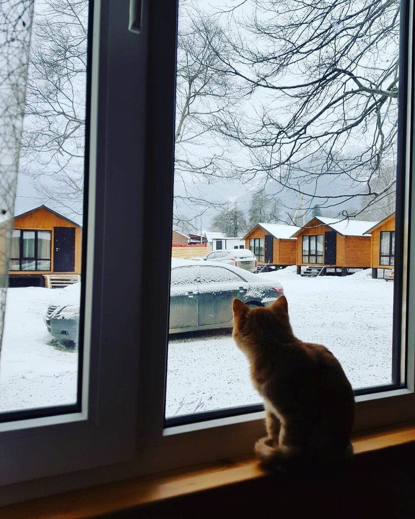 Resort oteller, tesisler Territoryа gor, Karaçay‑Çerkez Cumhuriyeti, foto
