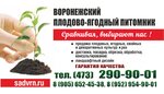 Воронежский плодово-ягодный питомник (Voronezh Region, Novousmanskiy rayon, selo Babyakovo), fidan yetiştiriciliği  Voronejskaya oblastından