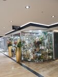 Louvre (Shokan Walikhanov Street No:170), i̇ç dekorasyon ürünleri  Almatı'dan