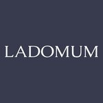 Ladomum (225, Sheikh Zayed Road, Dubai), emlak ofisi