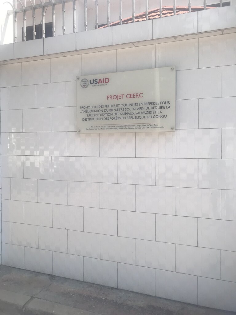 Danışmanlık hizmetleri Usaid, Brazzaville, foto