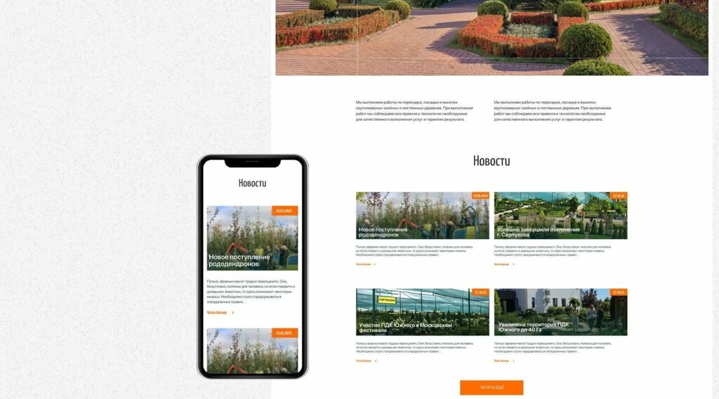 Web tasarım hizmetleri Bnelly Digital, Stupino, foto