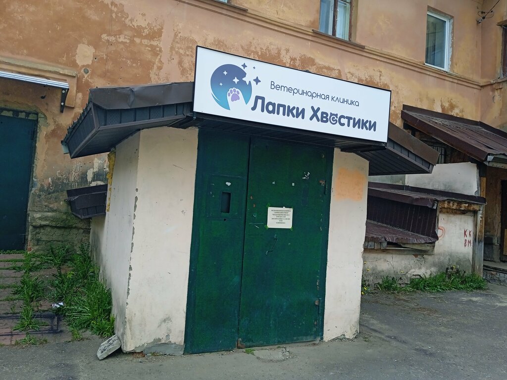 Veteriner klinikleri Paws and Tails, Şçolkovo, foto