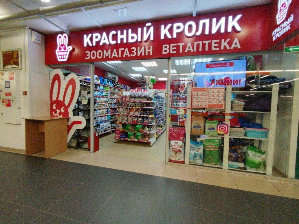 Petshop Krasniy Krolik, Tomsk, foto
