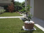 Il Giardiniere Lumia Giuseppe (Venice, province of Padua, Ponte San Nicolò, Via Giuseppe Garibaldi, 49), çiçek teslimatı  Dünya'dan