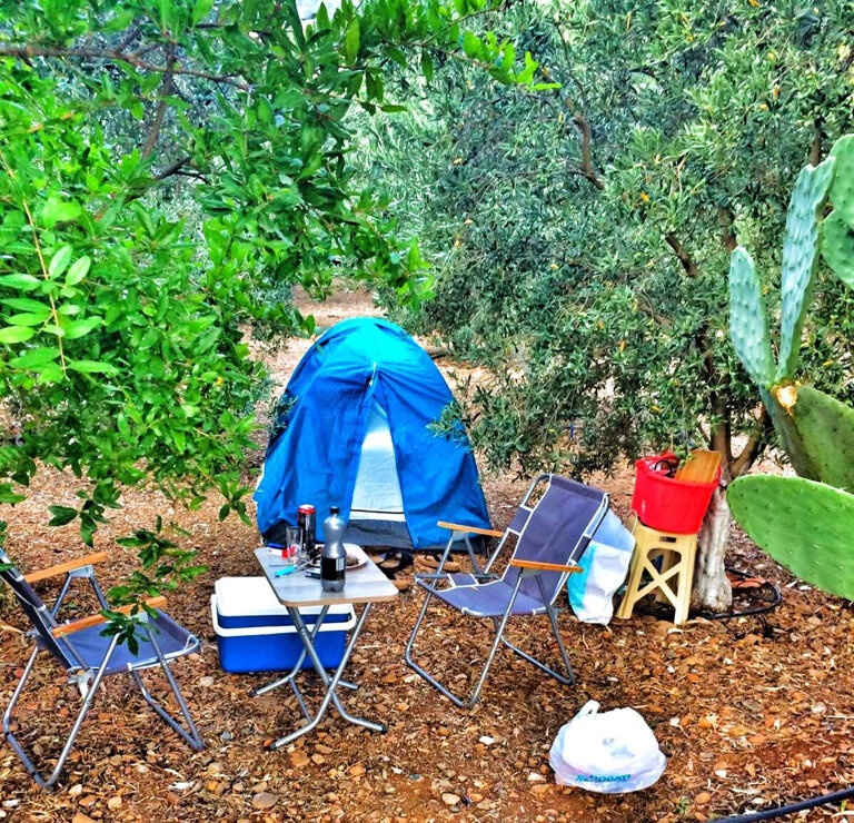 Kamp alanları Adrasan Zeytin Camping & Evleri, Kumluca, foto