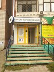 IC-Parts (ulitsa 70 let Oktyabrya No:20, Omsk), bilgisayar teknik servisleri  Omsk'tan