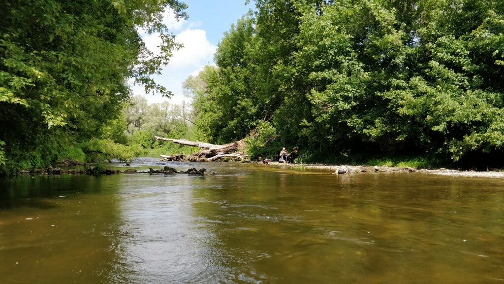 Plaj Пляж, Voronejskaya oblastı, foto