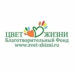 Npo Tsvet zhizni (Isakovskogo Street No:2к2), sosyal rehabilitasyon merkezi  Moskova'dan