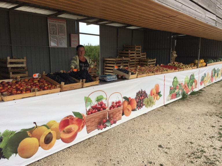 Gıda pazarı Farmers' market, Krasnodarski krayı, foto