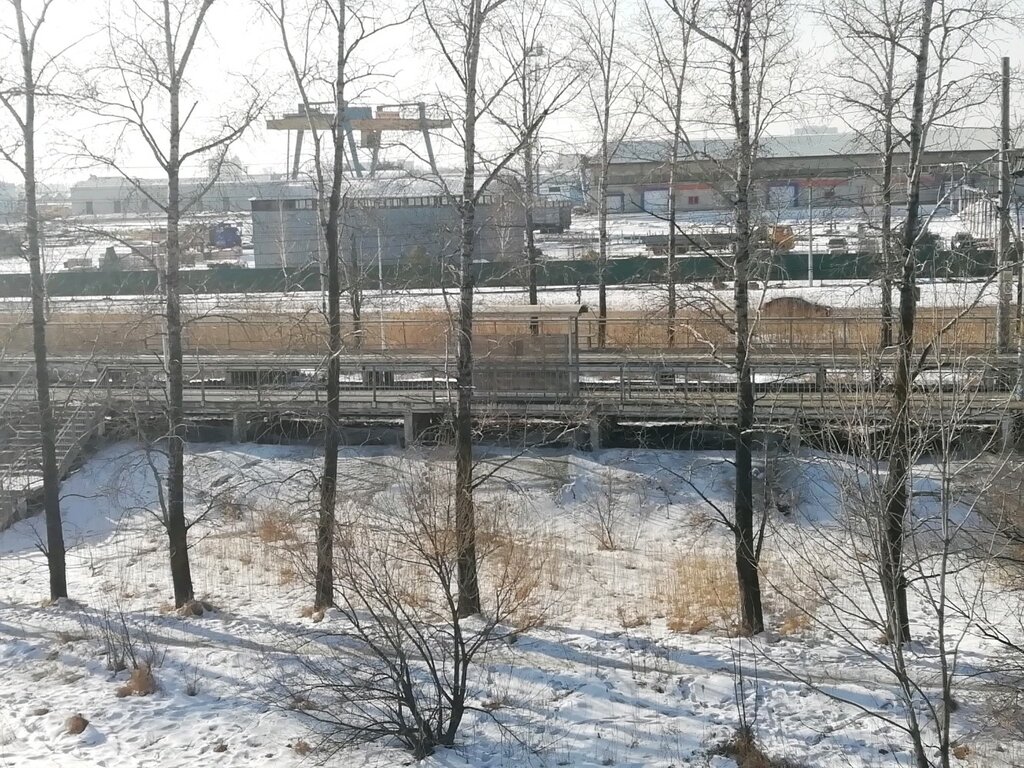 Tren istasyonu Остановочный пункт Юбилейная, Habarovsk, foto