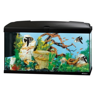 Petshop Internet-magazin Avangard, Novosibirsk, foto