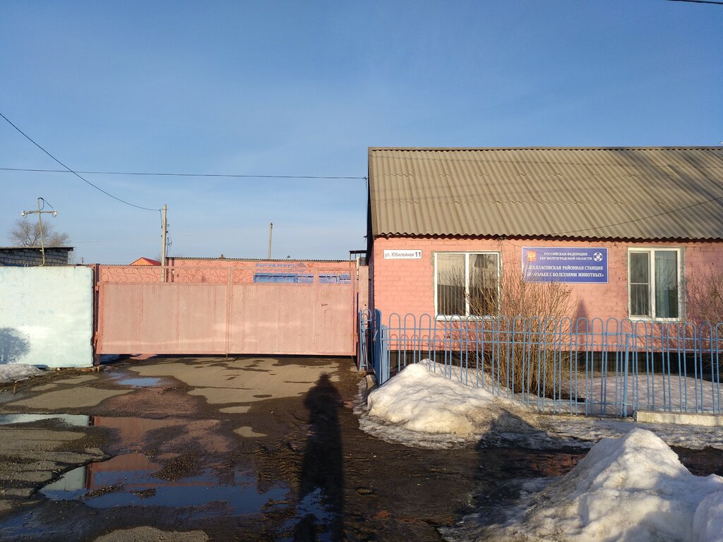 Veteriner klinikleri Veterinary Clinic, Pallasovka, foto