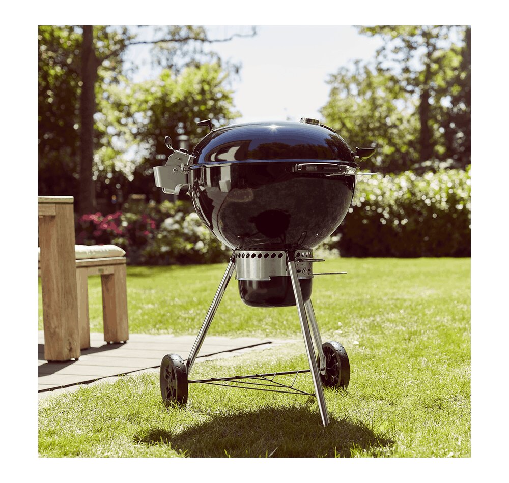 Tatil ve piknik için ürünler Weber, Moskova ve Moskovskaya oblastı, foto