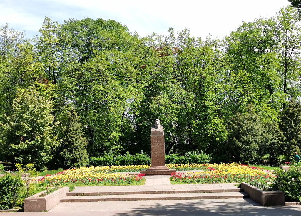 Meydan M. Kalinin Public Garden, Moskova, foto
