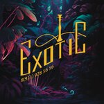 Exotic (Bolshaya Ozyornaya Street No:106), antikafe  Saint‑Petersburg'dan
