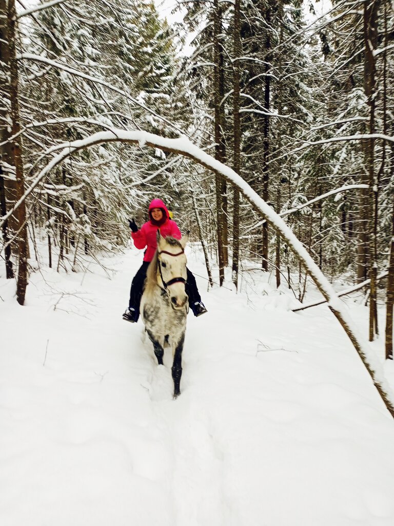 At ve binicilik kulüpleri Башкултаево, Permski krayı, foto