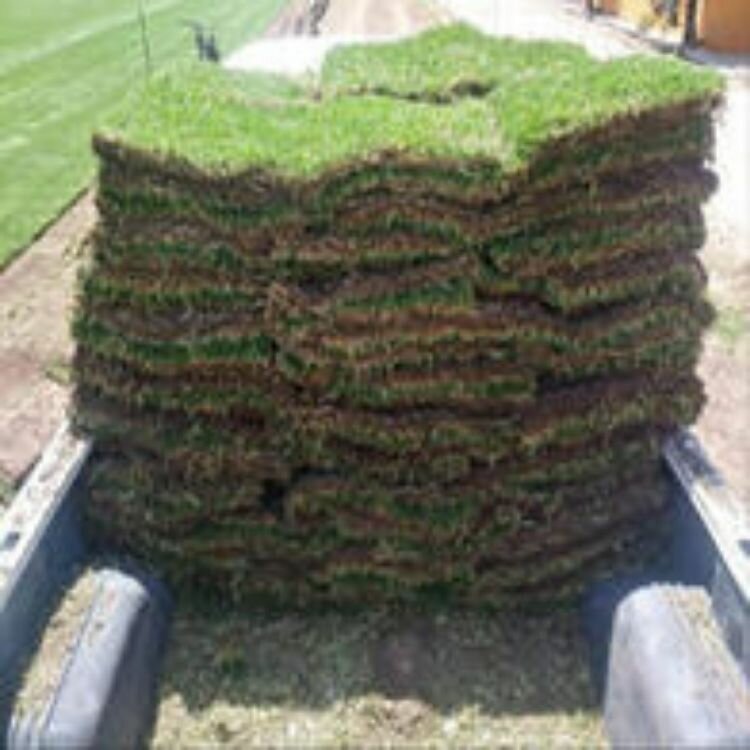 Seramik fayans Gramas Y Suministros, Bogota, foto