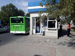 Baldyrgan (Jibek Joly dańǵyly No:17/1), market  Çimkent'ten (Şımkent'ten)