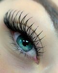 Lash studio Julii Polo (Kommunarov Street No:31/3, Tsentralniy City administrative district, Tsentralniy Microdistrict), kaş ve kirpik salonu  Krasnodar'dan