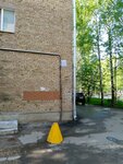 Яблоко (Chernova Street No:14, Tsentralniy District), siyasi partiler  Syktivkar'dan