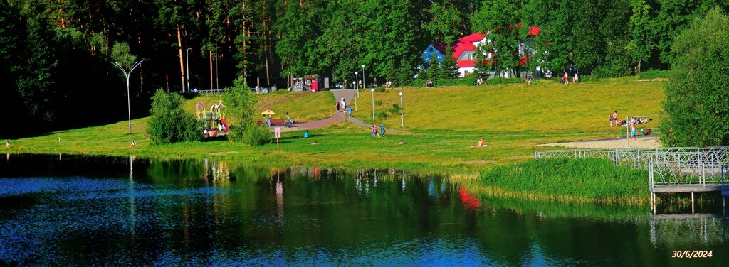 Orman Zona Otdykha Lesnaya, Zarechny, foto
