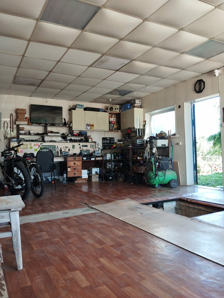 Otomobil servisi Avtoelektrik, Ip Baryshnikov, Riazanskaya oblastı, foto