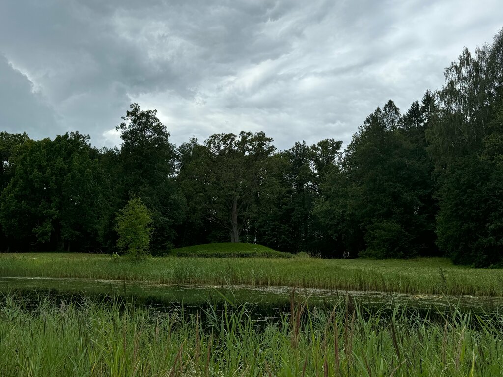 Doğa Дуб-беседка, Pskovskaya oblastı, foto