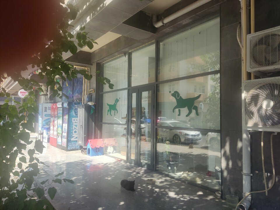 Evcil hayvan kuaförleri Golden spaw, Bakü, foto