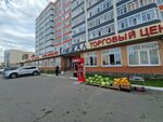 Elle ukg (Shyǵys Qazaqstan oblysy, Oskemen, Qazybek Bı dańǵyly), giyim mağazası  Öskemen'den (Ust‑Kamenogorsk'tan)