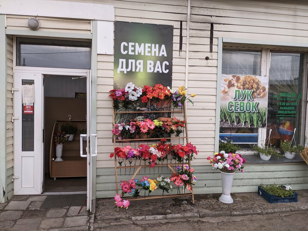 Tohum satan yerler Сад и огород, Bikhov, foto