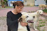 Yeşilevler Karataş Kur'An Kursu (Adana, Seyhan, Demetevler Mah., 53080 Sokak, 4/1), dini kurslar  Adana'dan