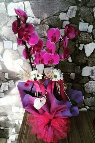 Çiçekçiler Yeliz Çiçek, Talas, foto