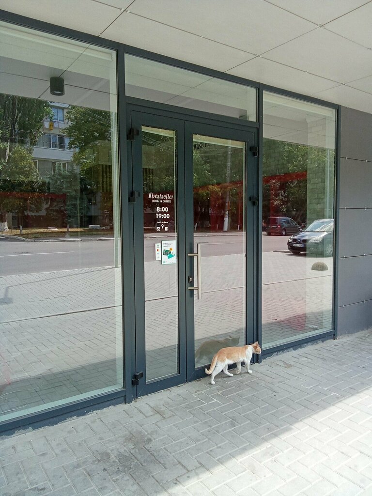 Kitap mağazaları Librăria Bestseller Books & Coffee, Dünya, foto