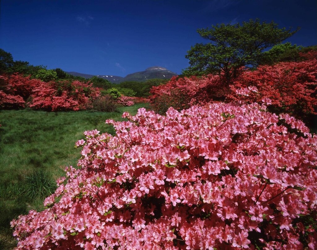 Otel Kyukamura Nasu, , foto