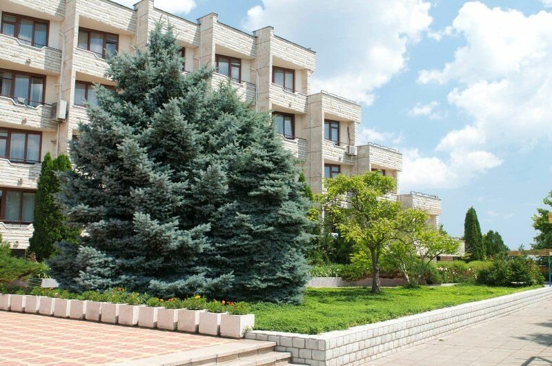 Termal otel Sanatory-profilaktory Portovik, Güney, foto