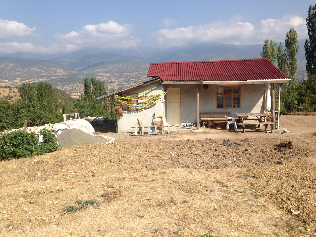 Muhtarlıklar Karabey Köy Muhtarlığı, Tosya, foto