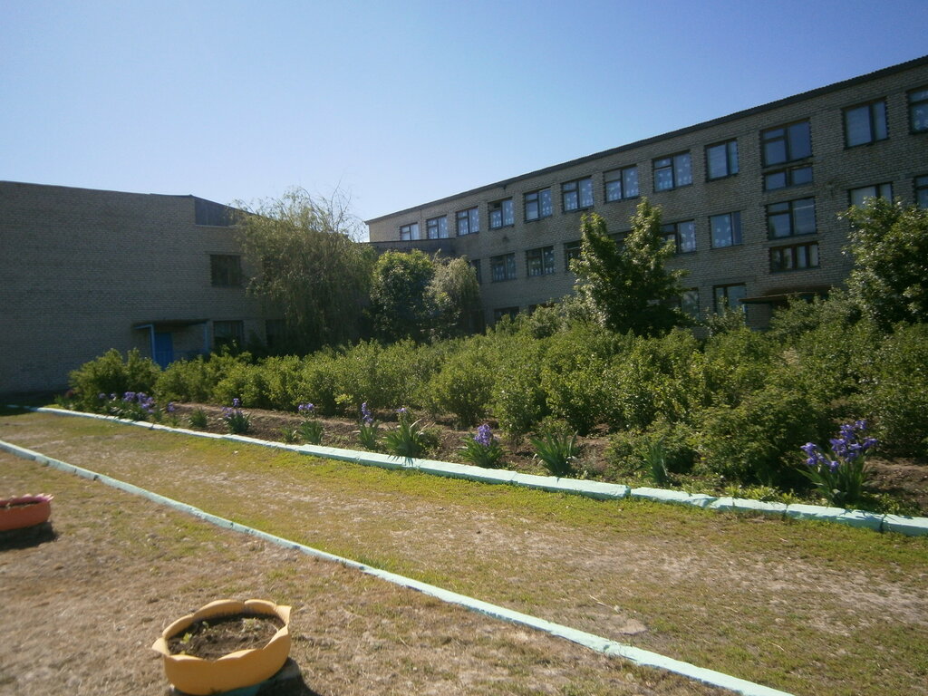 Ortaokul Srednyaya obshcheobrazovatelnaya shkola MOU, Saratovskaya oblastı, foto