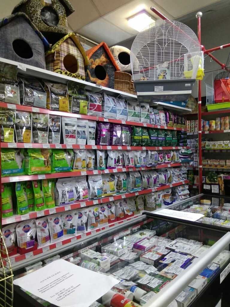 Petshop Beliy kakadu, Rostov‑na‑Donu, foto