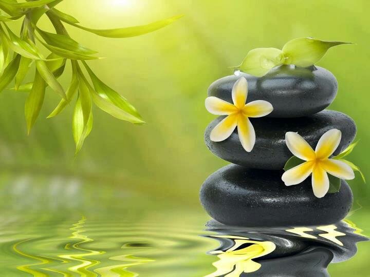 Spa Bamboo SPA, Moskova, foto