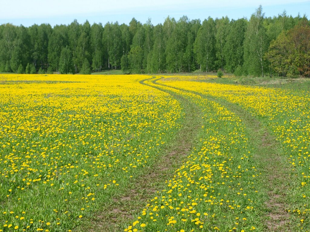Kültür ocakları Полх-Майданский ДК, Nijegorodskaya oblastı, foto