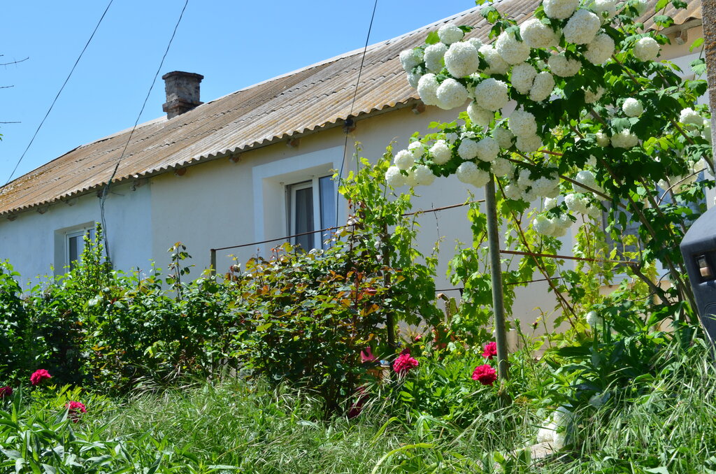 Otel Vitino Guest House, Kırım Cumhuriyeti, foto