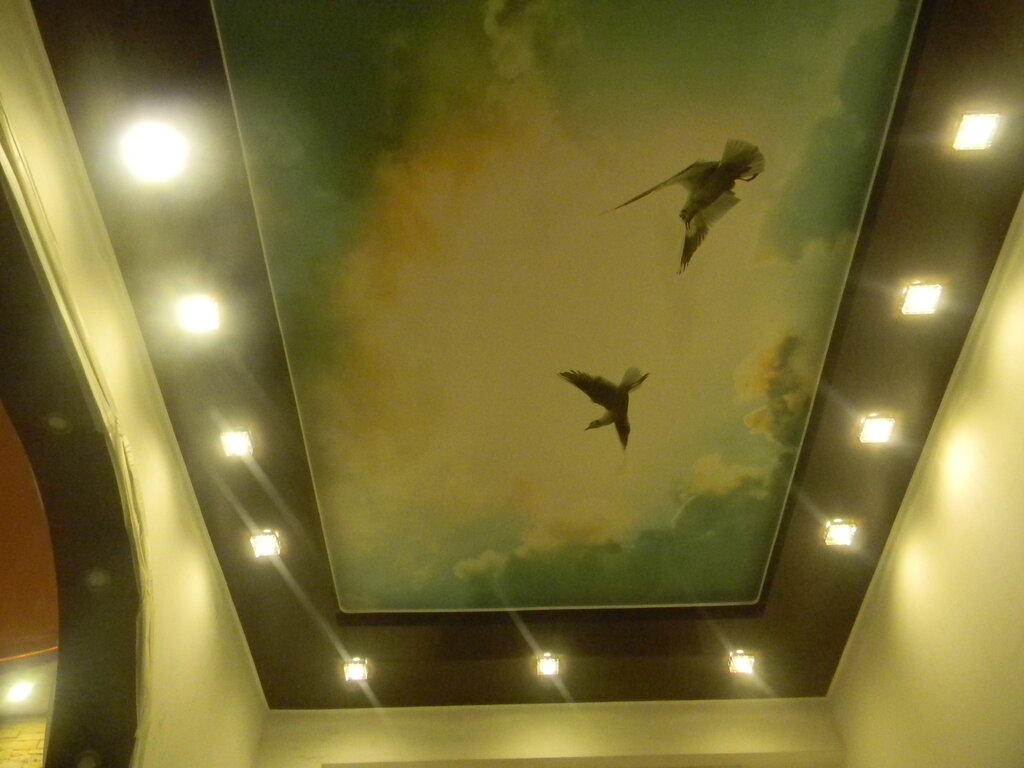 Tavan sistemleri Натяжные потолки АртС 38, Irkutsk, foto