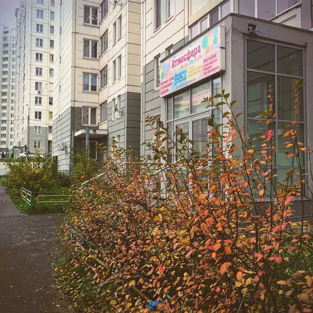 Çocuklar için kutlama organizasyonları Atmosfera, Podolsk, foto