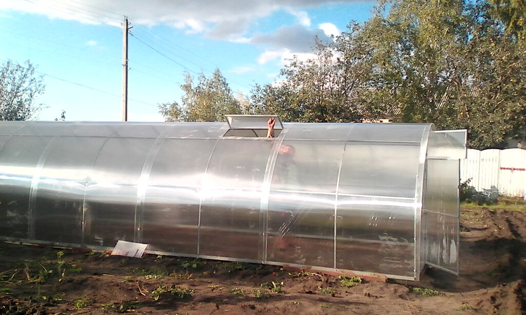 Sera ekipmanları Teplitsy-Region-Ryazan, Riazan, foto