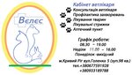 Veles (vulytsia Halenka No:5), veteriner klinikleri  Krivoi Rog'dan
