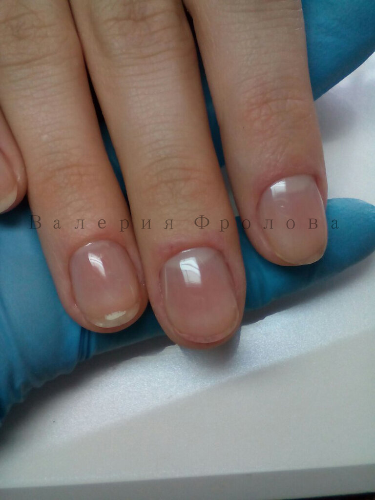 Güzellik salonu Salon krasoty Orkhideya, Tolyatti (Togliatti), foto