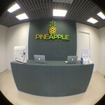 PineApple (Molokova Street No:56/1кА), bilgisayar teknik servisleri  Krasnoyarsk'tan
